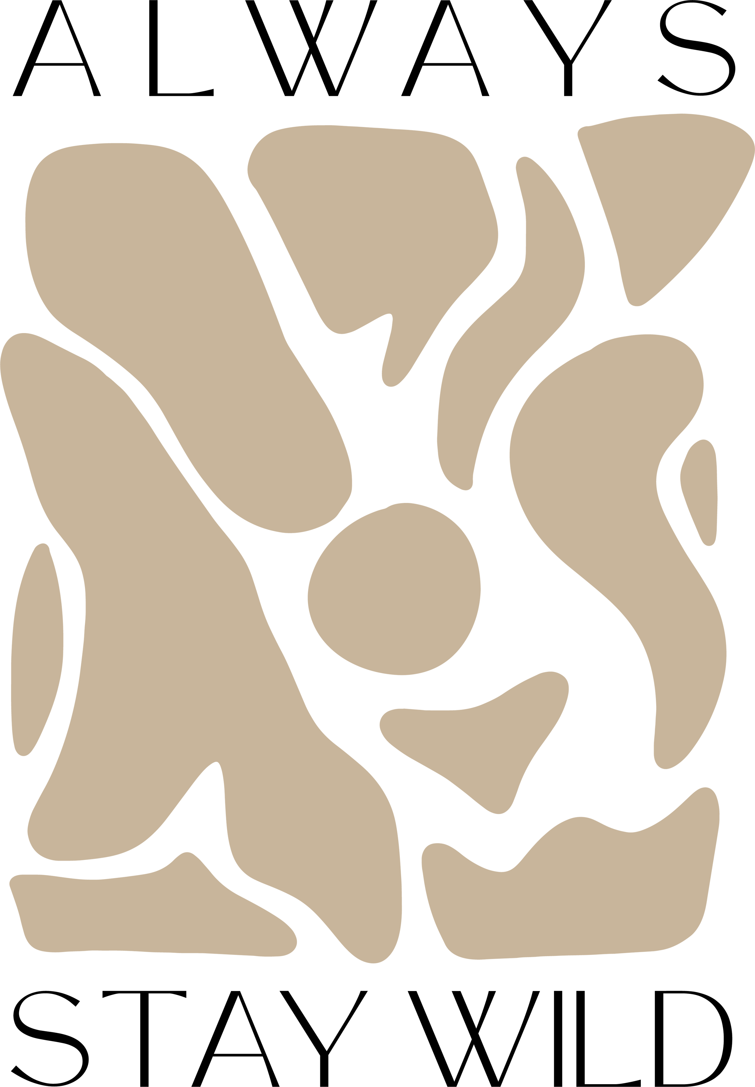 Always Stay Wild logo